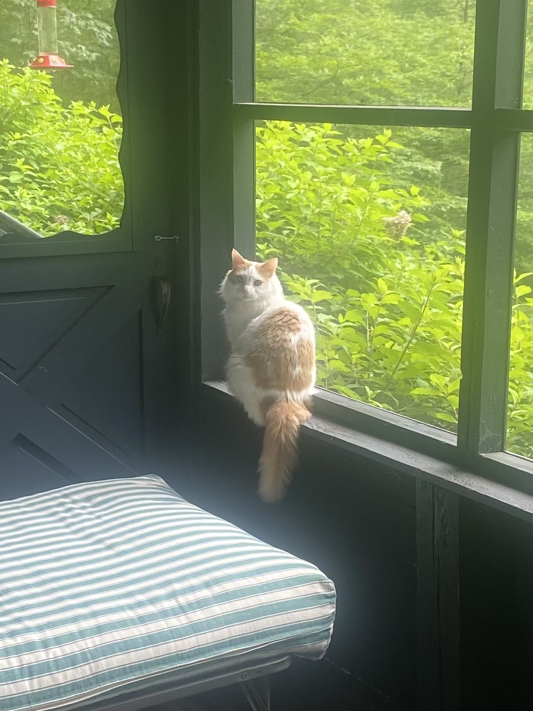 Showing Up by Ginger Keller Gannaway – Sittin' Ugly Sistahs